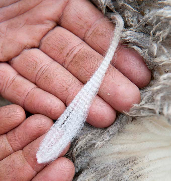 Benefits of Pure Fine Merino Quilts - Kelly & Windsor Australia